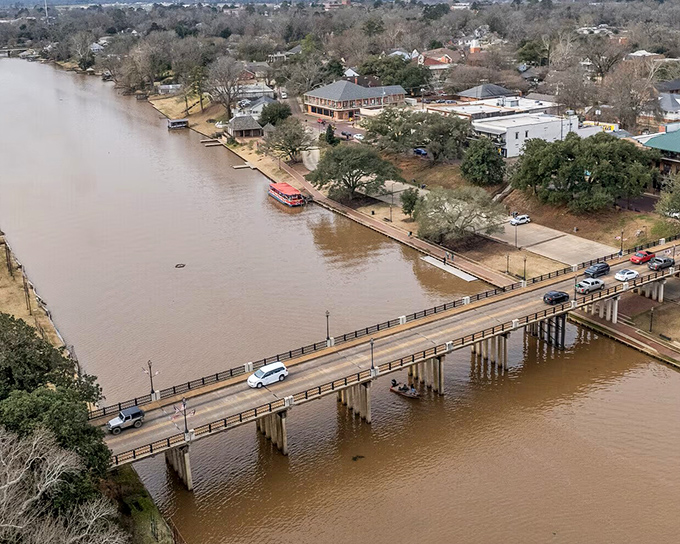 The Cane River doesn't rush—it meanders, as if teaching visitors the proper pace for appreciating a town where history and beauty flow together effortlessly.
