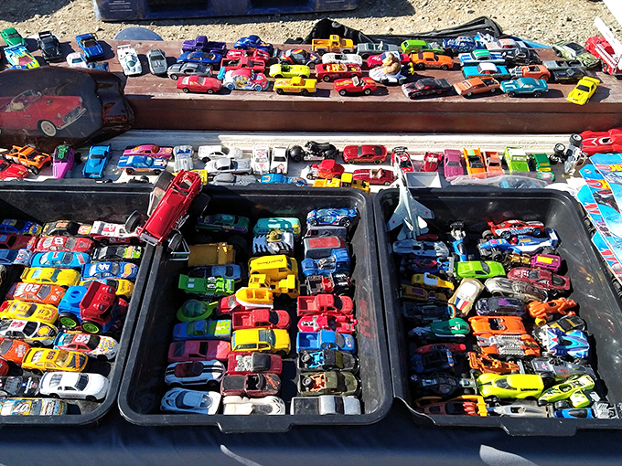 Die-cast dreams lined up like a miniature parking lot&mdash;every kid's (and dad's) fantasy collection awaits.