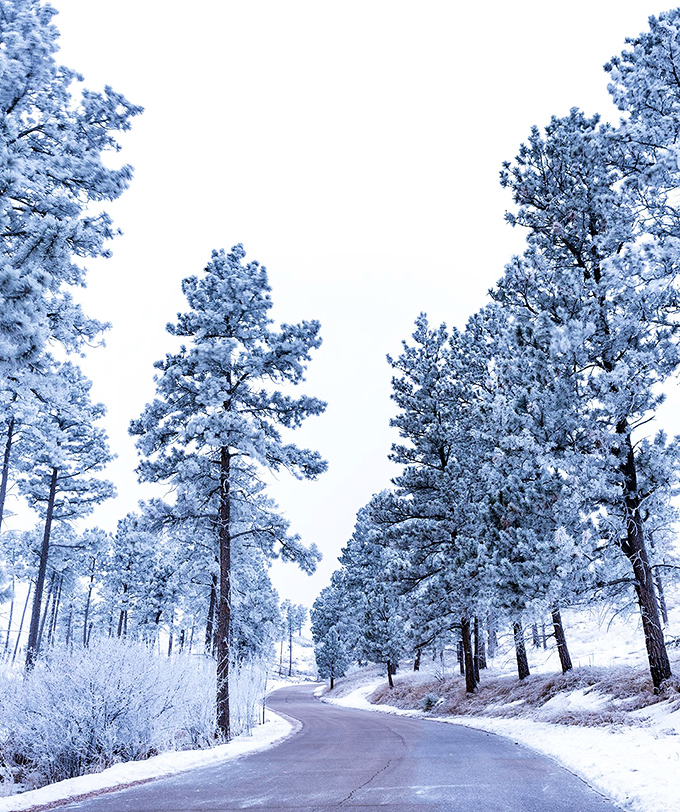 Winter transforms Chadron State Park into a frost-kissed wonderland. These snow-dusted pines could make even a penguin reach for a scarf.