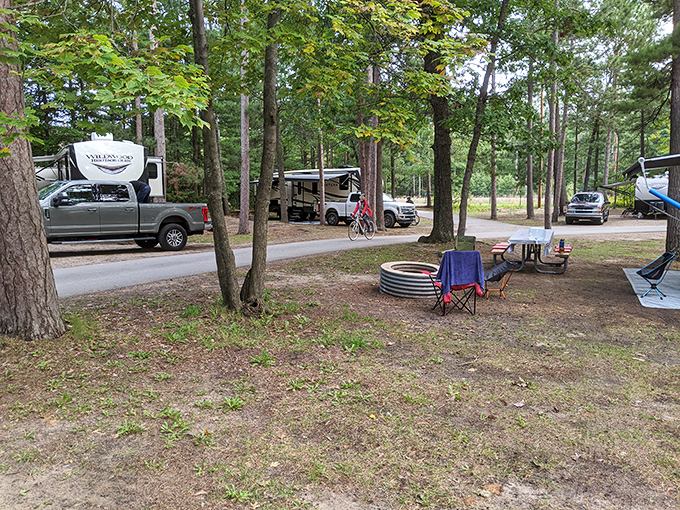 Camping among tall Michigan pines&mdash;where "roughing it" means your RV's Wi-Fi might be spotty, but the stargazing is five-star quality.