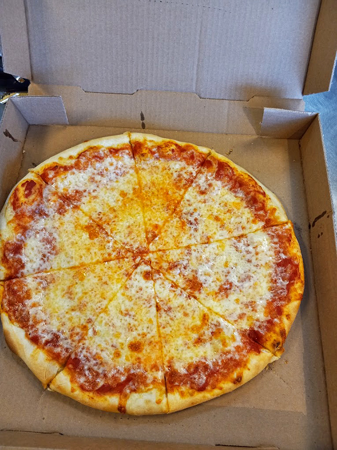 A classic cheese pizza that proves you don't need fancy toppings when the fundamentals are executed this flawlessly.