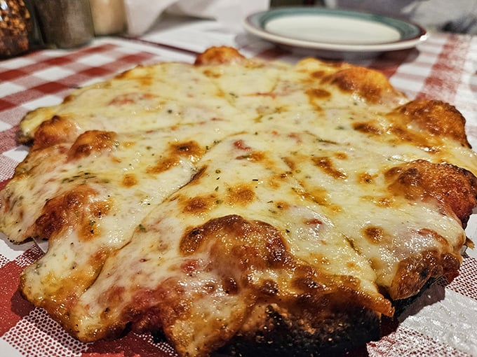Sometimes the most beautiful things are the simplest—a perfectly executed cheese pizza with that ideal balance of crust, sauce, and bubbling cheese.
