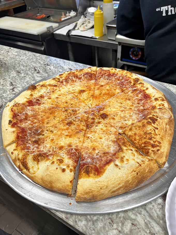 The classic cheese pizza at Lorenzo's achieves that perfect golden-brown crust that makes you wonder why anyone bothers with gourmet toppings.