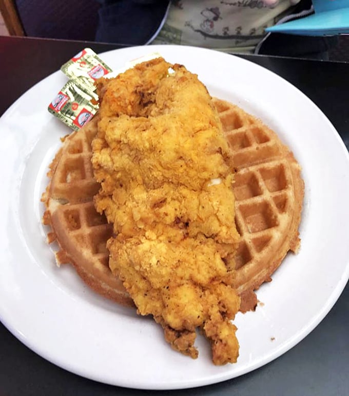 Chicken and waffles: the breakfast-dinner hybrid that proves some of the best relationships are unexpected ones. A crispy-fluffy romance on a plate.