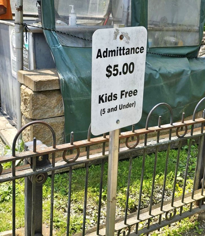 At just $5 admission with kids under 5 free, this might be the most affordable time travel experience in America.