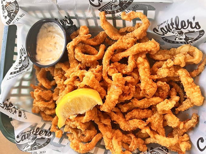 Those clams arrived fresher than morning gossip at a church social, and twice as satisfying.