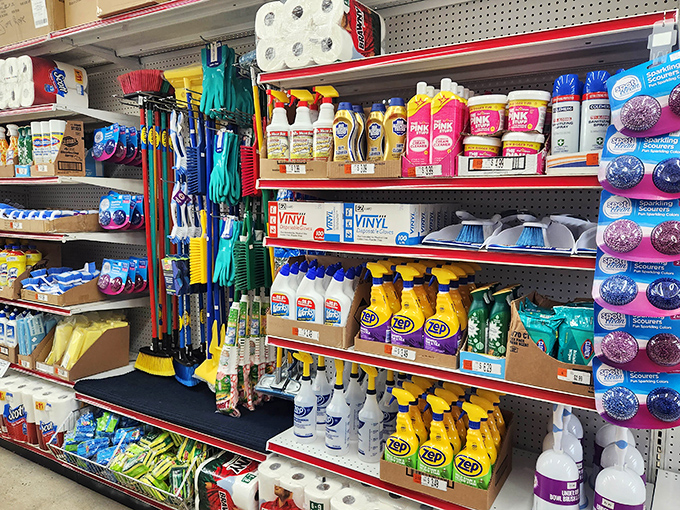 The cleaning aisle: where practical meets colorful. Who knew household chores could look this cheerful? Your mop has never felt so fancy.