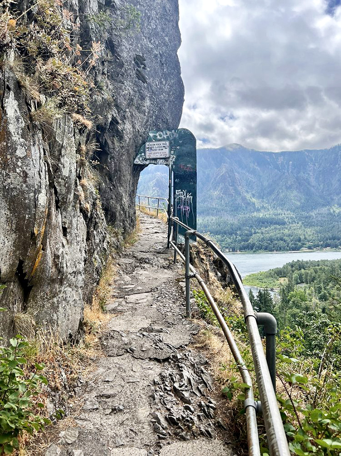 The pathway hugs the rock face like it was always meant to be there, offering thrills without requiring actual mountaineering credentials.