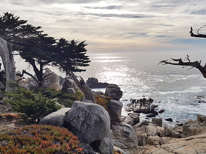 Cypress trees cling dramatically to coastal cliffs like characters from a California noir film. Hitchcock would have loved this moody, magnificent backdrop.