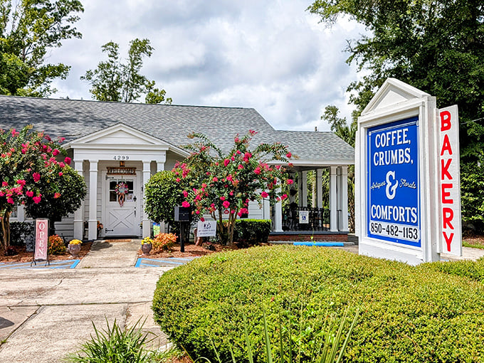 Coffee, Crumbs, & Comforts bakery &ndash; where calories don't count because you're technically on a "cultural exploration" of local flavors.