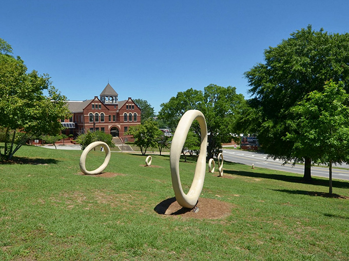 Coleman Hill Park's sculptural loops dance across the lawn, proving public art doesn't need Manhattan prices to inspire.