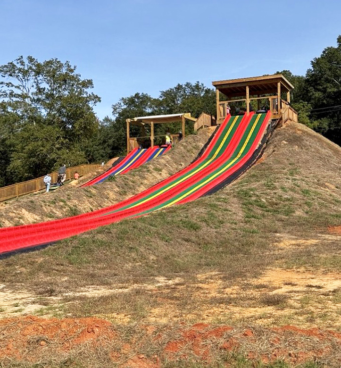 Gravity-powered joy! These colorful slides prove farm fun extends well beyond the berry patch, much to children's delight.
