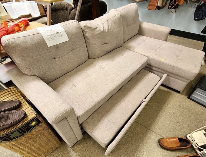 This pull-out sofa isn't just furniture—it's an invitation to both sit and sleep. The hidden drawer reveals its clever secret, perfect for unexpected overnight guests.