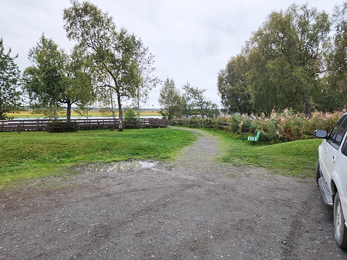 A peaceful path leading to waterside adventures. The birch trees stand like friendly ushers welcoming you to the show.
