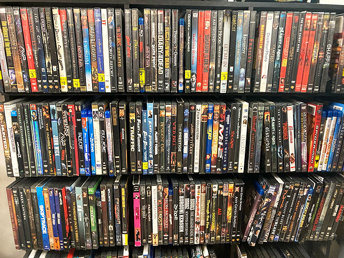 DVDs stacked like a Blockbuster time capsule, because streaming can't replace the joy of physical media.