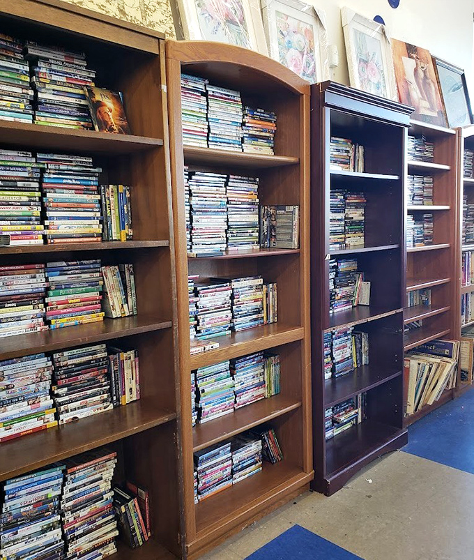 DVDs stand at attention like soldiers of entertainment, ready to rescue you from another streaming service scroll.