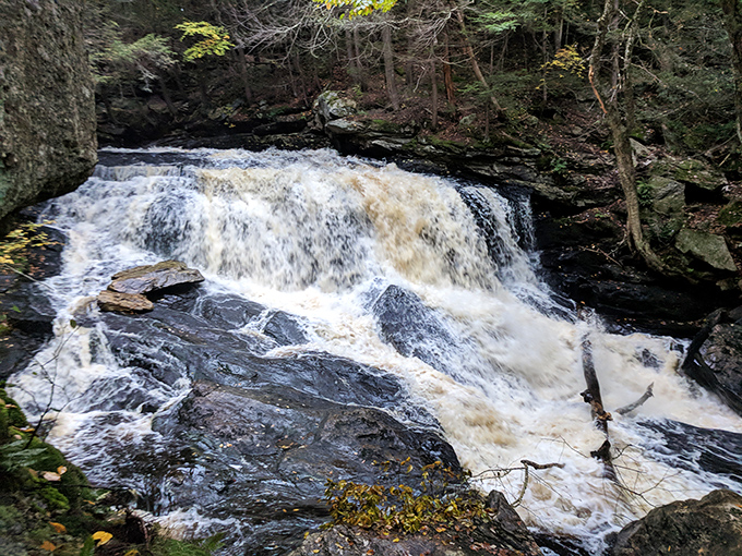 These dark, brooding rocks have witnessed centuries of flowing water, standing like sentinels guarding nature's liquid treasure.
