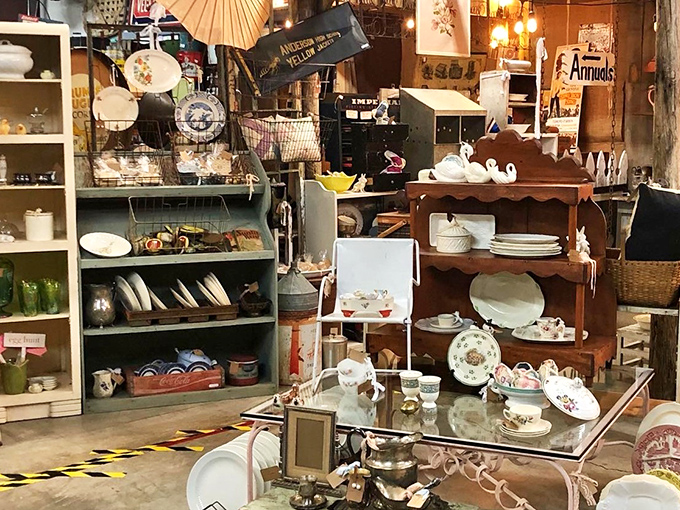 Grandma's china cabinet exploded in the best possible way. These dishes served Sunday dinners long before DoorDash was even a concept.