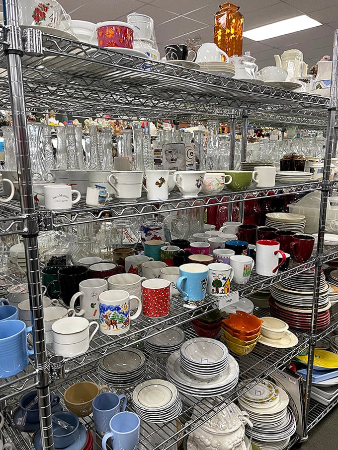 Dishware paradise where mismatched becomes charming and vintage finds whisper tales of dinner parties past.