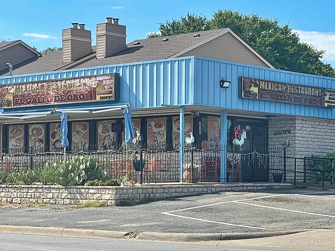 El Gallo De Oro's vibrant blue exterior and inviting patio suggest what locals already know&mdash;authentic Tex-Mex flavors await behind those doors.