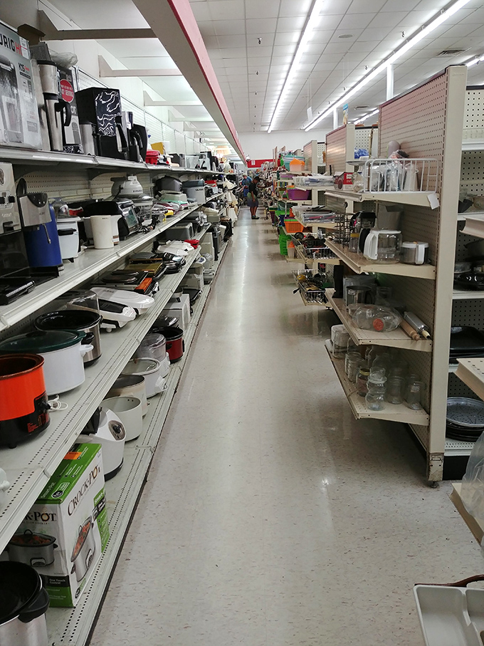 The small appliance aisle&mdash;a museum of culinary technology where slow cookers and coffee makers await their second act.