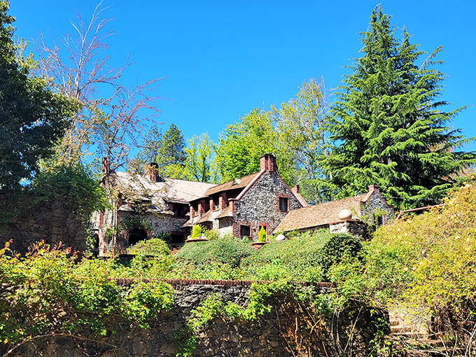 The Empire Mine owner's cottage stands as proof that striking gold meant striking architectural gold too&mdash;rustic elegance amid Sierra foothills greenery.