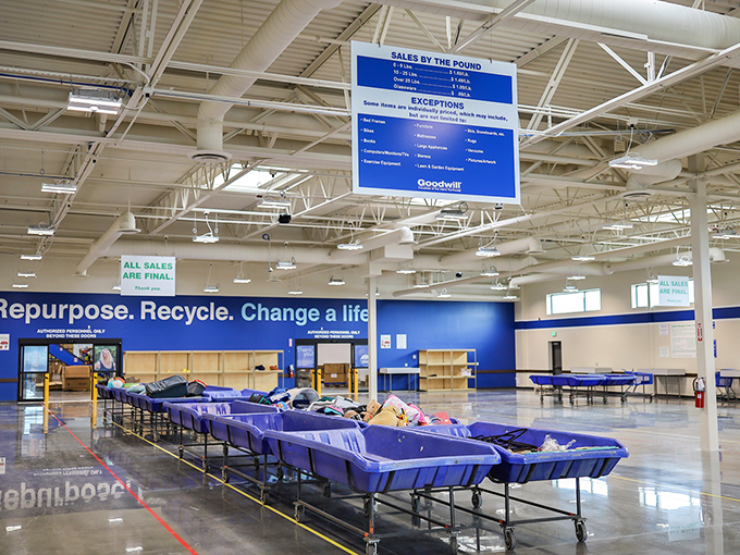 The arena before the gladiators arrive. Empty bins stand ready for the next rotation of potential treasures.