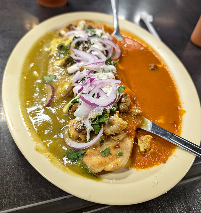 These enchiladas aren't just food; they're an edible hug, smothered in sauce and topped with fresh herbs that brighten every bite.