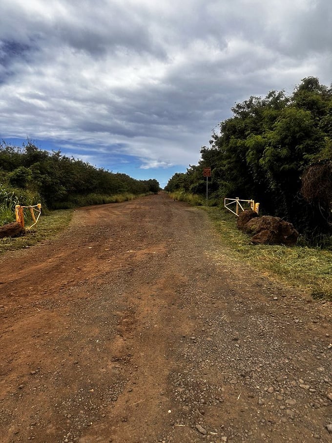 The road less traveled &ndash; literally. This unpaved journey to paradise separates the tourists from the travelers, and your rental car company might never forgive you.