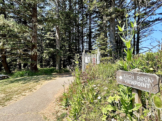 The entrance sign that's launched thousands of adventures &ndash; simple wood pointing the way to memories that last far longer.
