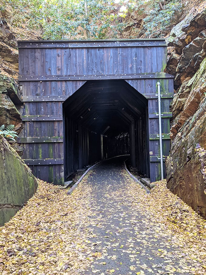 Enter if you dare! This old railroad tunnel looks like the perfect setting for either a ghost story or the most epic game of hide-and-seek ever.