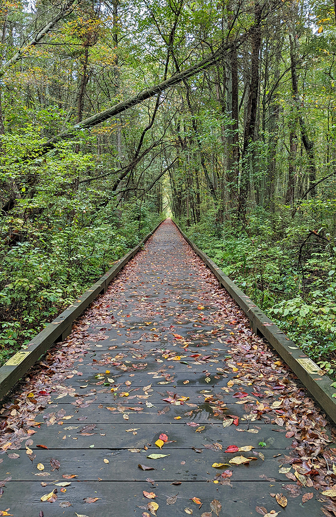 Nature's retirement gift: trails that meander through Estell Manor Park, where every season brings a new palette of colors to admire. 