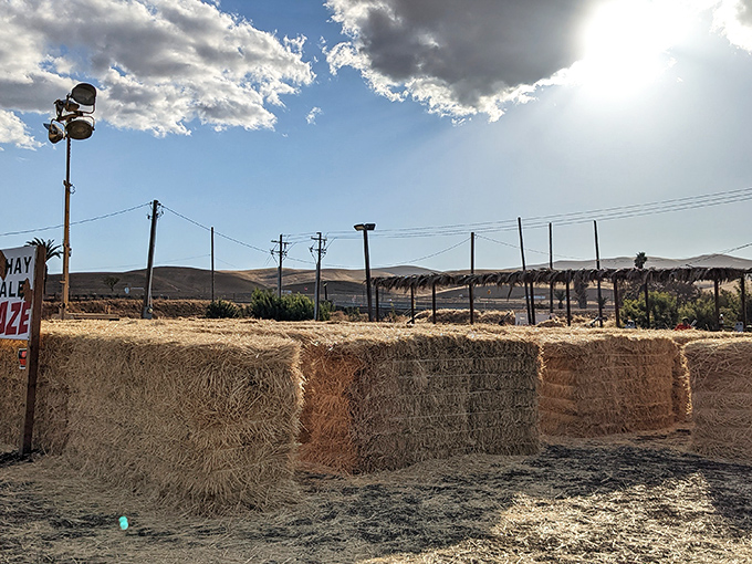 Nothing says "Central Valley autumn" quite like golden hay bales against rolling hills&mdash;agricultural artistry at its most authentic.