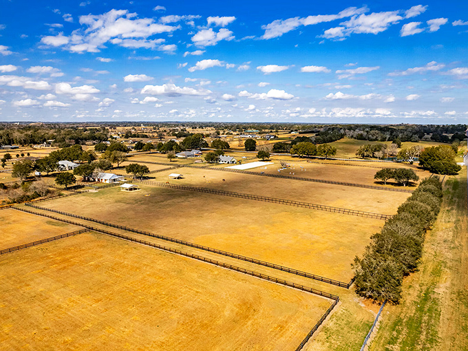 Horse country stretches to the horizon, where million-dollar thoroughbreds live better than most humans. They've earned it with those legs.