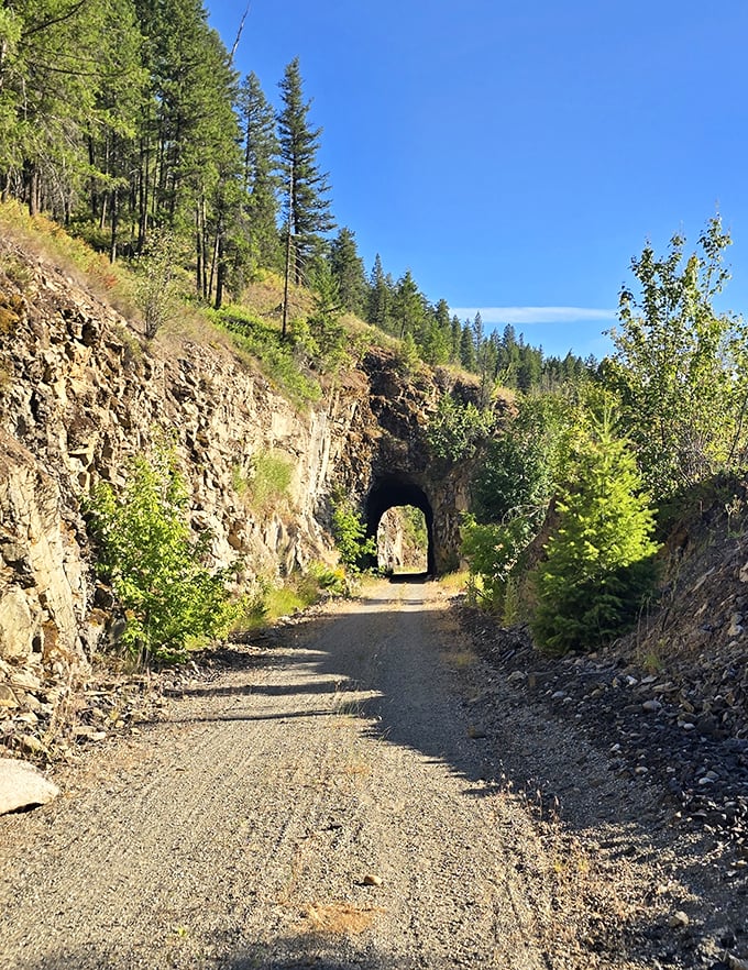 The Rail Trail tunnel stands as a monument to determination, where miners once hauled gold and modern adventurers now haul picnic baskets.