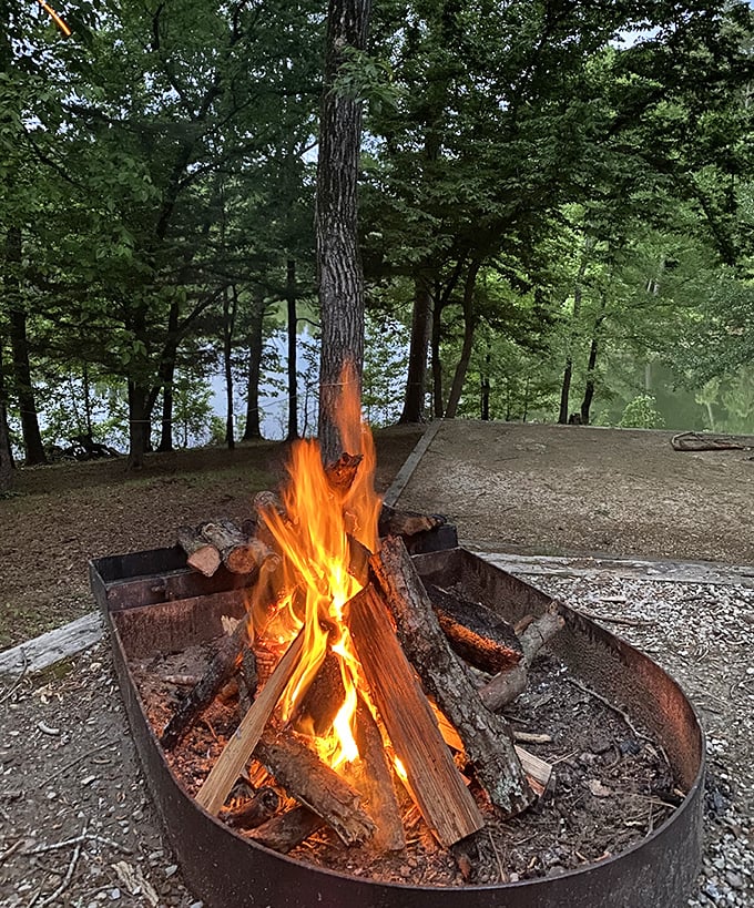 Campfire philosophy sessions happen here nightly. Something about dancing flames makes everyone temporarily profound.