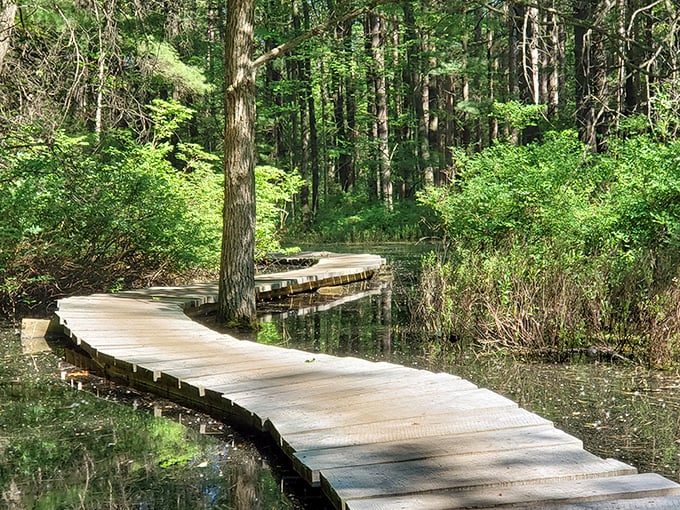 Nature doesn't just surround Midland&mdash;it permeates it, with boardwalks like this one inviting you to wander through wetlands without getting your shoes soggy.