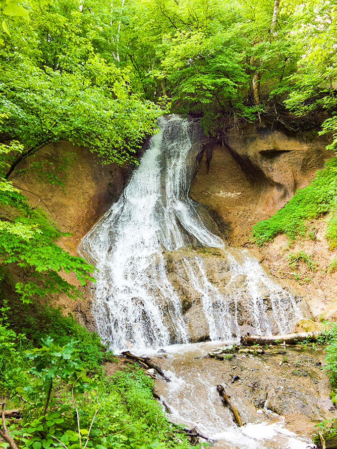 Fort Falls cascades through emerald foliage like nature's own masterpiece, a refreshing surprise in a state stereotyped for flatness.