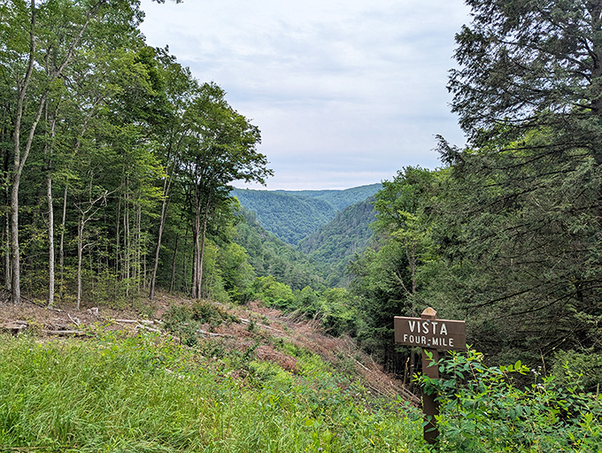 The Four-Mile Vista sign promises what it delivers &ndash; views so spectacular they should charge admission (thankfully, they don't).
