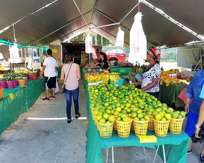 A citrus lover's dream! These mountains of fresh limes could supply every margarita in Orlando for a weekend.