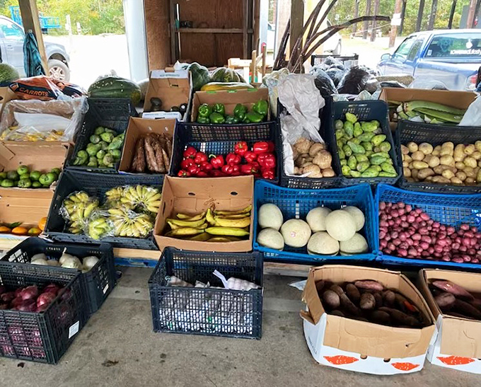 Farm-to-flea-market freshness! These vibrant fruits and vegetables didn't travel across continents to meet you&mdash;they're your neighbors.