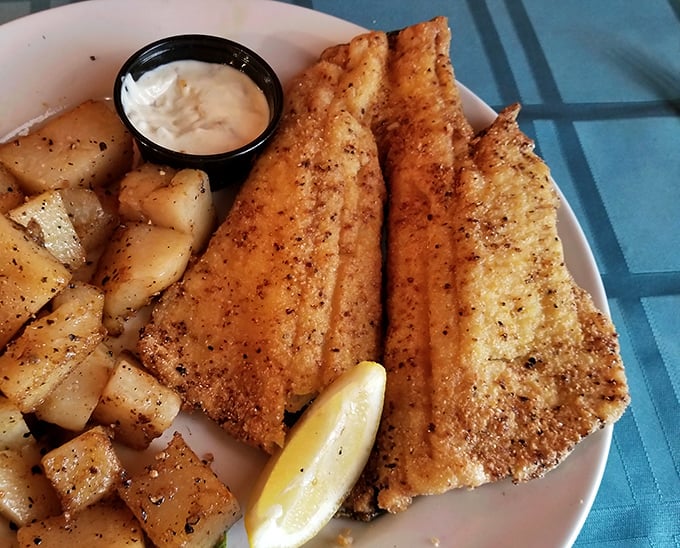 Trout that looks like it was swimming upstream this morning, perfectly seasoned and served with potatoes. The lemon wedge stands ready for duty.