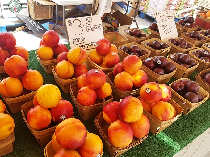 Nature's candy displayed with pride&mdash;these sun-ripened nectarines and plums didn't travel across continents to reach your table, just across the county.