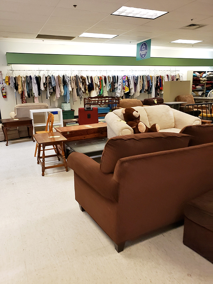 The living room section&mdash;where couches gather to dream of their second chance. That teddy bear seems to have found his forever home on that cream-colored loveseat.