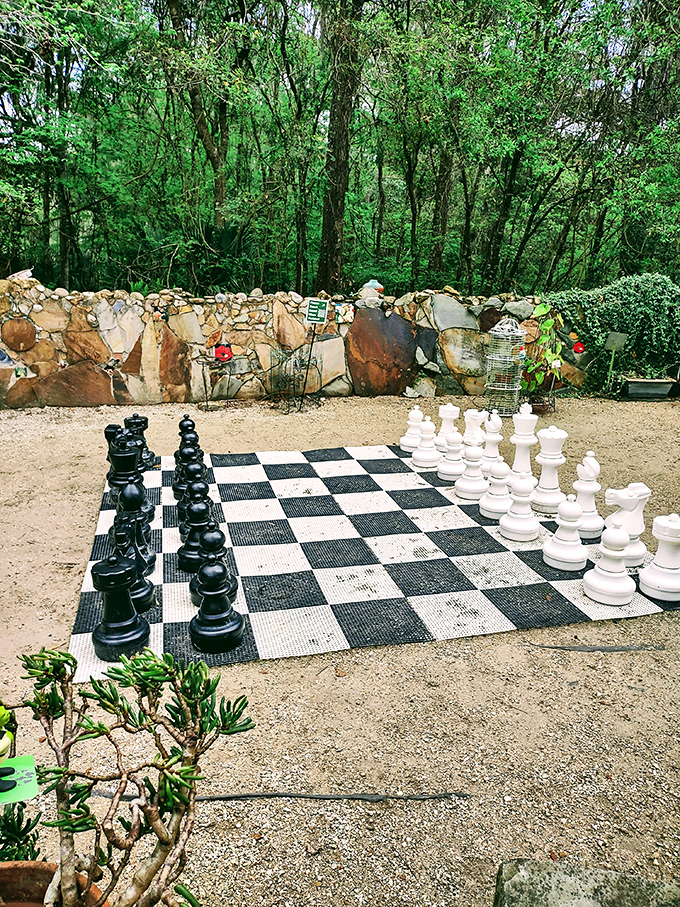 Chess in the garden&mdash;where knights and bishops battle amid birdsong. Even checkmate feels peaceful in this setting.