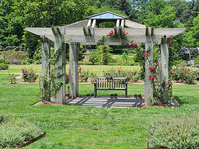 Romance blooms under this climbing rose pergola. The perfect spot to propose or just pretend you're in a Nancy Meyers film.