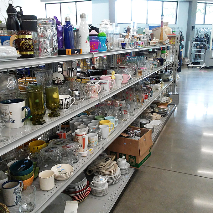 Glassware galore! From quirky mugs to elegant stemware, these shelves hold the vessels for your next toast or morning coffee ritual.