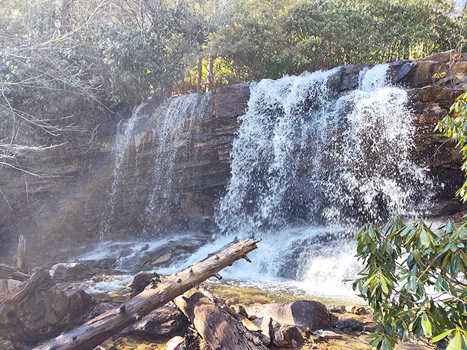 Glen Onoko Falls cascades over ancient rock formations, creating nature's own symphony that no Spotify playlist could ever replicate.