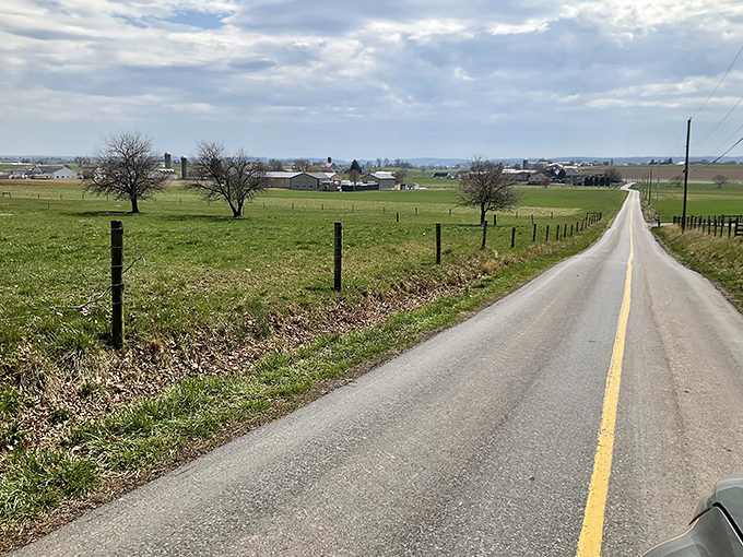 The road less traveled sometimes has a yellow line down the middle and leads to discoveries no GPS could ever program.