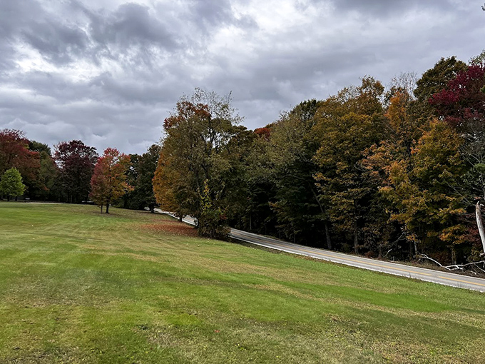 Fall's palette transforms Mohican's landscape into nature's own impressionist painting—Monet would've traded his water lilies for this view.